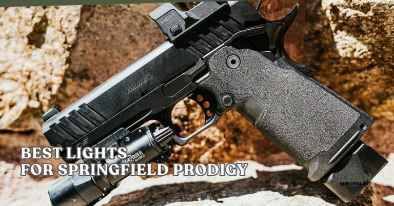 Our 10 Best Lights For Springfield Prodigy To Buy In 2026 - Titan ...